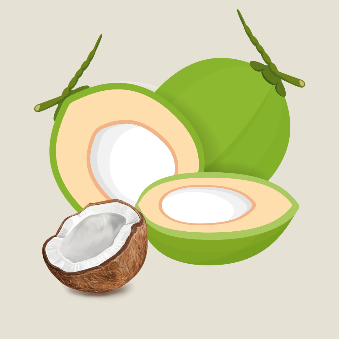 Le coco ? Qu'est ce que c'est ? – Lovy NK Kosmétik